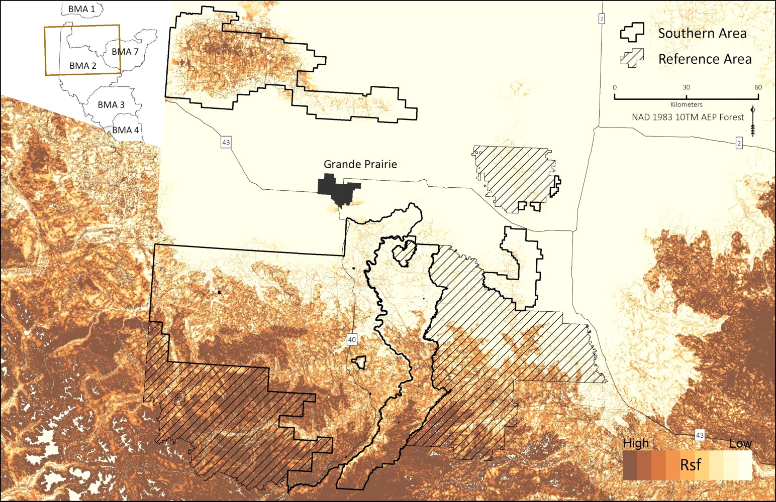 Research Spotlight: Grizzly Bear